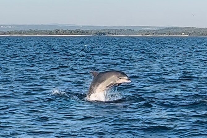 National Park Brijuni Tour from Pula with Dolphins, Sunset&Dinner - Key Points