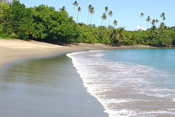 National Park Lava Cliffs and Black Sand Beach - Final Thoughts