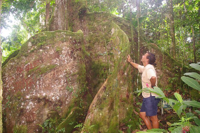 National Park Lava Cliffs and Black Sand Beach - FAQs
