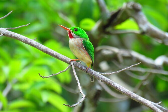 National Park of the East Private Hiking Tour with Swimming - Key Points