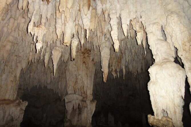 National Park of the East Private Hiking Tour with Swimming - The Sum Up