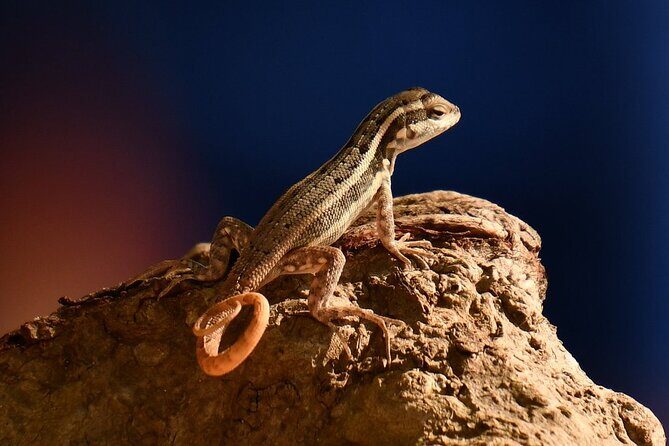 National Park of the East Private Hiking Tour with Swimming - FAQ Section