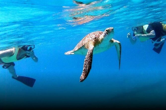 National Park Snorkeling Excursion - The Sum Up: Who Should Sign Up?