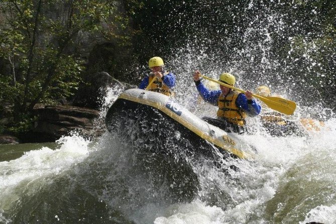 National Park Whitewater Rafting in New River Gorge WV - What Makes This Tour Stand Out?
