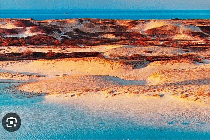 National Seashore Tour with Guided Hike - Who Will Love This Tour?