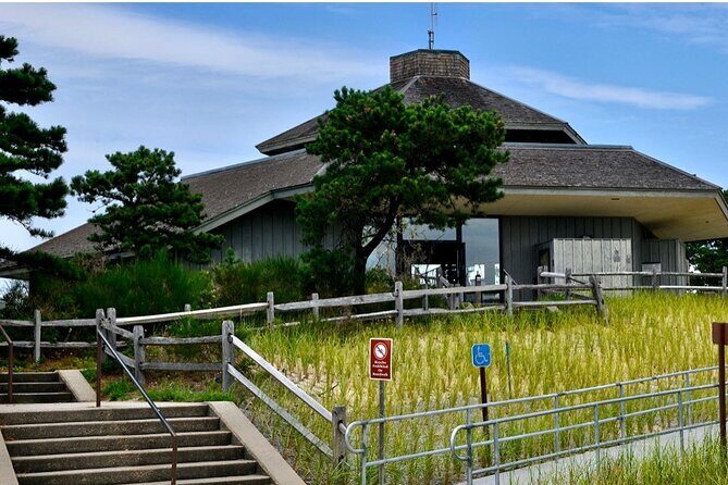 National Seashore Tour with Guided Hike - The Sum Up: Who Is This Tour Best For?