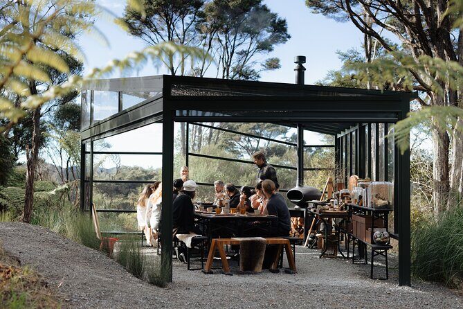 Native Forest Farm Experience Nourishing Nature in Auckland - The Experience in Context