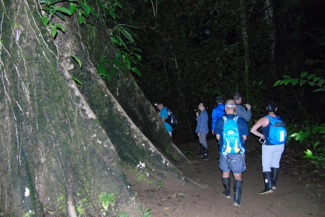 Nativos Corcovado Night Hike in DrakeBay - Exploring the Family Farm: Rio Agujitas