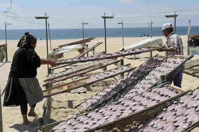 Natural Caves - Alcobaça - Nazaré - West Coast - Óbidos Start in Lisbon Private - Convenient Private Transportation for Seamless Travel