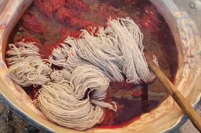 Natural Dyeing and Organic Weaving Workshop in Oaxaca - The Sum Up: An Authentic, Hands-On Oaxaca Experience