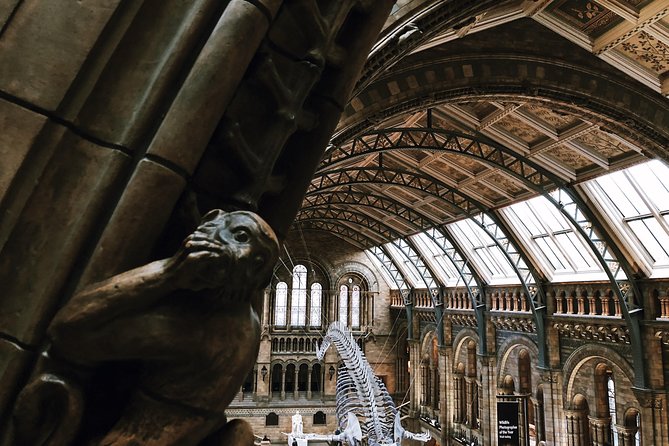 Natural History Museum London - Exclusive Guided Museum Tour - Dress Code and Museum Rules