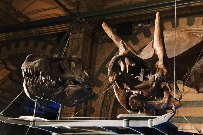 Natural History Museum London - Exclusive Guided Museum Tour - Traveler Fitness Requirements