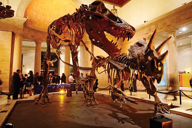 Natural History Museum of Los Angeles County Admission - Visitor Experience and Family Activities