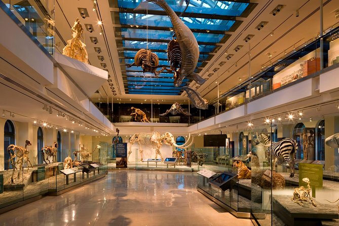 Natural History Museum of Los Angeles County Admission - Special Exhibits and Ticketing Information