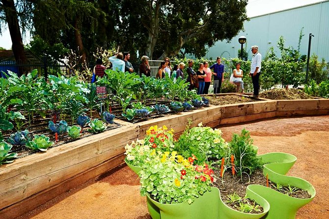 Natural History Museum of Los Angeles County Admission - Visitor Feedback and Recommendations