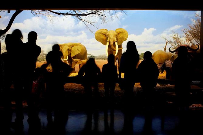 Natural History Museum of Los Angeles County Admission - Planning Your Visit