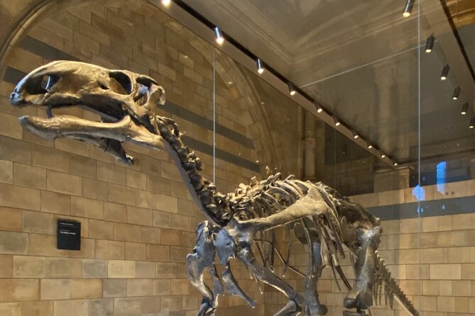 Natural History Museum Self-guided Tour for Kids in English - Who Will Enjoy This Tour?