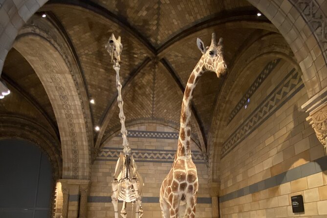 Natural History Museum Self-guided Tour for Kids in English - The Sum Up