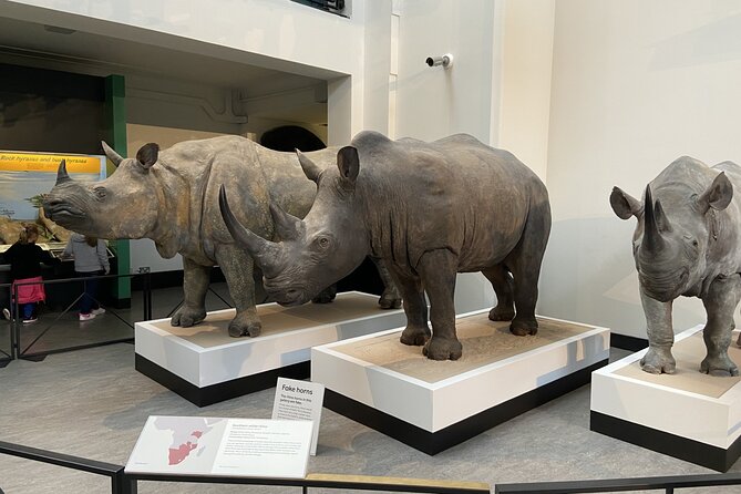 Natural History Museum Self-guided Tour for Kids in English - Frequently Asked Questions