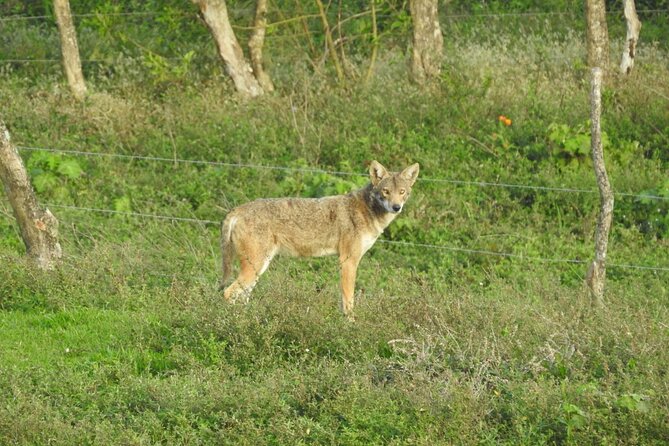Natural History Tour at Curi Cancha Reserve in Monteverde - Tour Experience