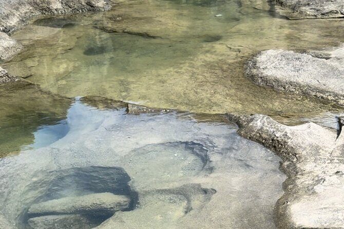 Natural Infinity Pool And Exclusive Beach Tour - The Sum Up