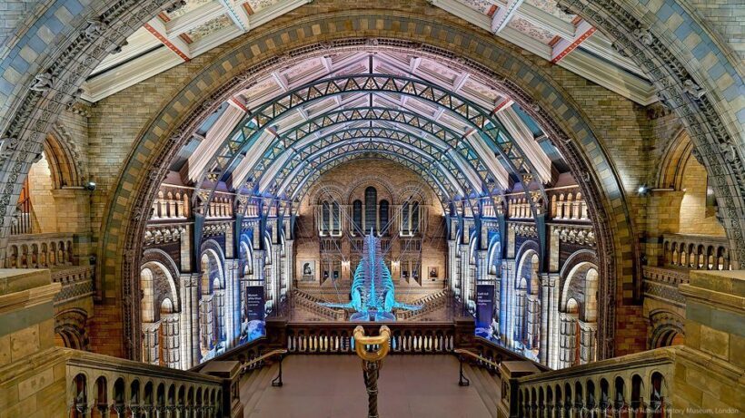 Natural Museum Adventure: Gems, Volcanoes, Dinosaurs - Who Will Love This Tour?