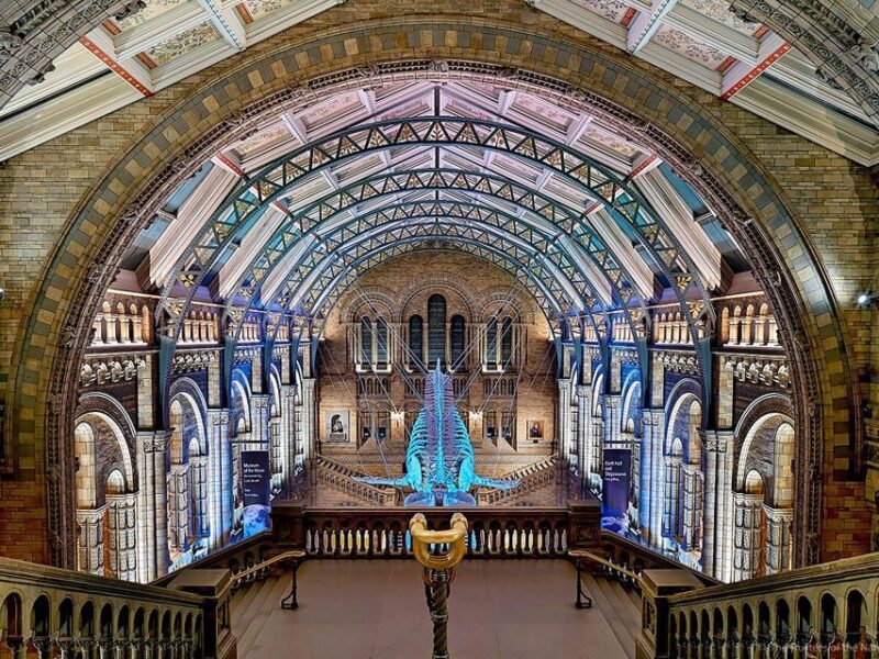 Natural Museum: Diplodocus, Volcanoes, Whale, and Gems - Key Points