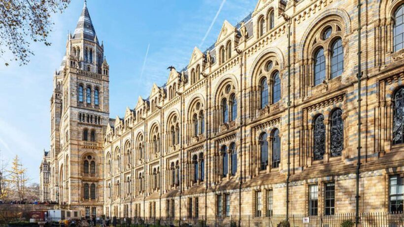 Natural Museum Secrets: Diplodocus, Blue Whale, Evolution - How the Tour Enhances Your Visit