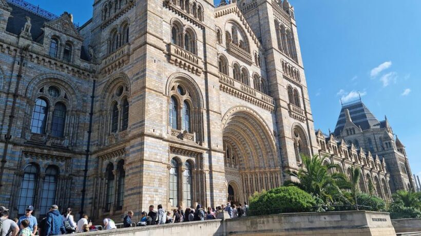 Natural Museum Secrets: Diplodocus, Blue Whale, Evolution - The Sum Up