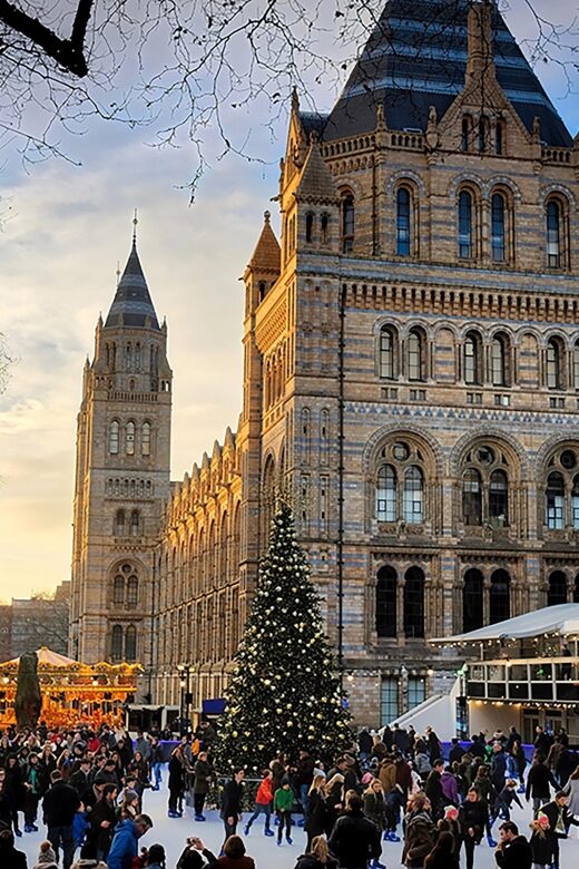 Natural Museum Secrets: Diplodocus, Blue Whale, Evolution - FAQ