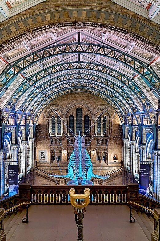 Natural Museum Tour: Volcanoes, Earthquakes, Blue Whale - The Sum Up