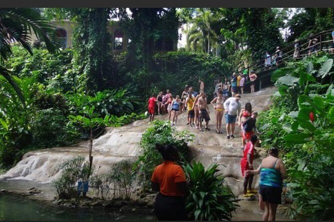 Natural Mystic - Analyzing the Value