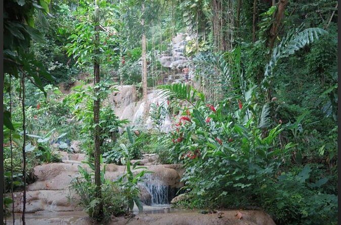 Natural Mystic - Practical Tips Before You Go