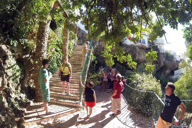 Natural Parck Jeep Eco Tour from Costa del Sol - Why Choose This Tour?