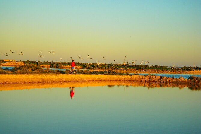 Natural Park Segway Tour with Seafood Lunch in Faro Island - Authentic Experiences and Honest Impressions