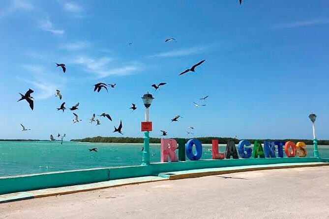 Natural Pink Lake Tour Las Coloradas only from Playa del Carmen - What the Reviews Reveal
