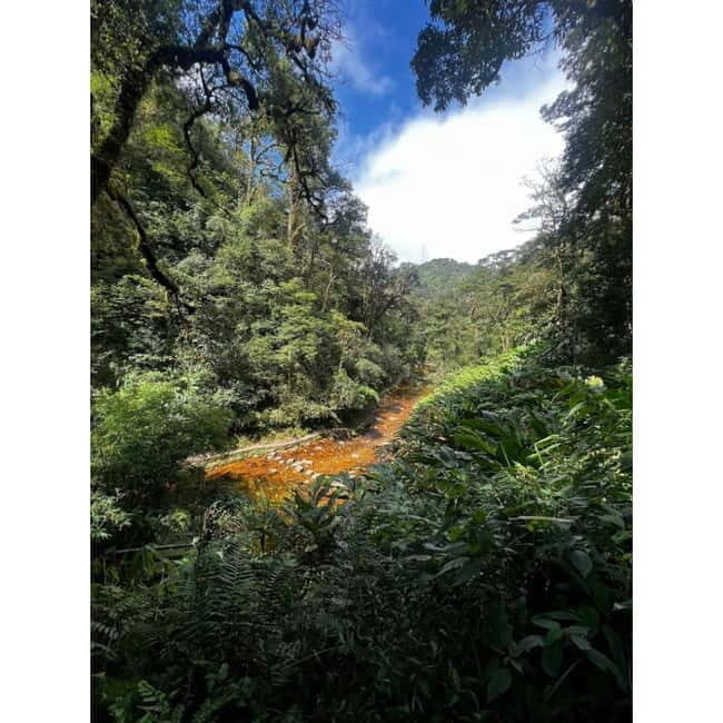 Natural. The 1D Fansipan peak .HmongSisterHouse&Trekking - Who Should Consider This Tour?