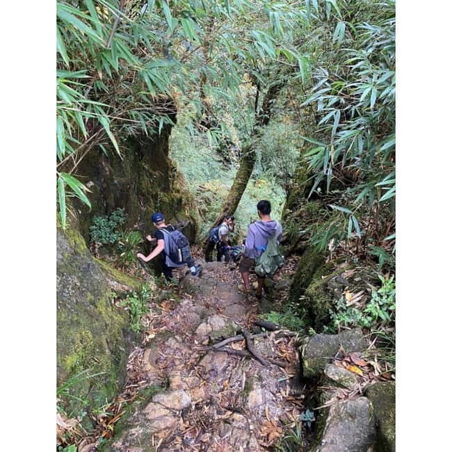 Natural. The 1D Fansipan peak .HmongSisterHouse&Trekking - The Sum Up