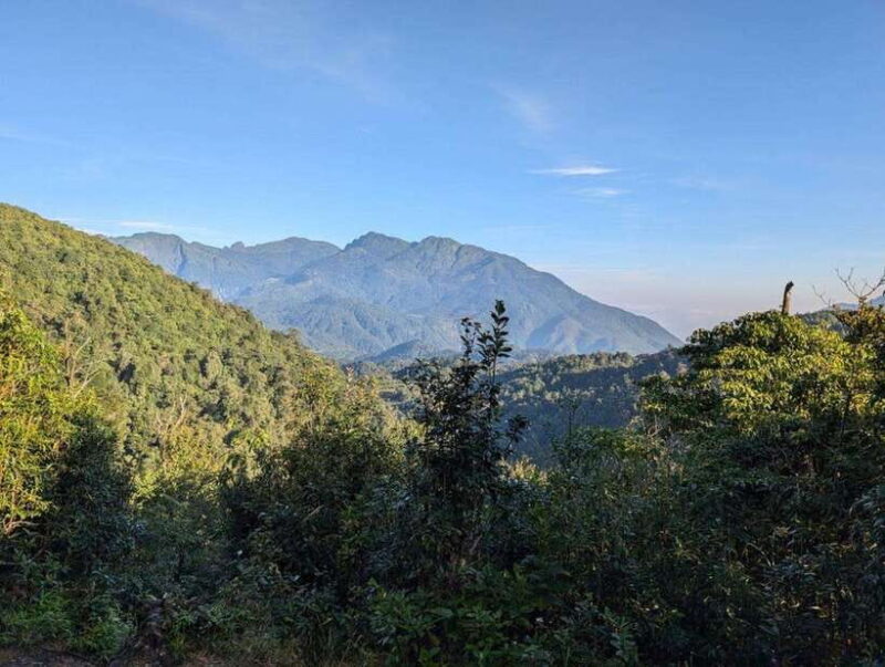 Natural. The 1D Fansipan peak .HmongSisterHouse&Trekking - In-Depth Review of the Itinerary