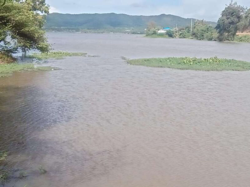 Natural tour to Pepper farm. Cave /Lake/ included lunch - A Deeper Look at the Kampot Countryside Tour