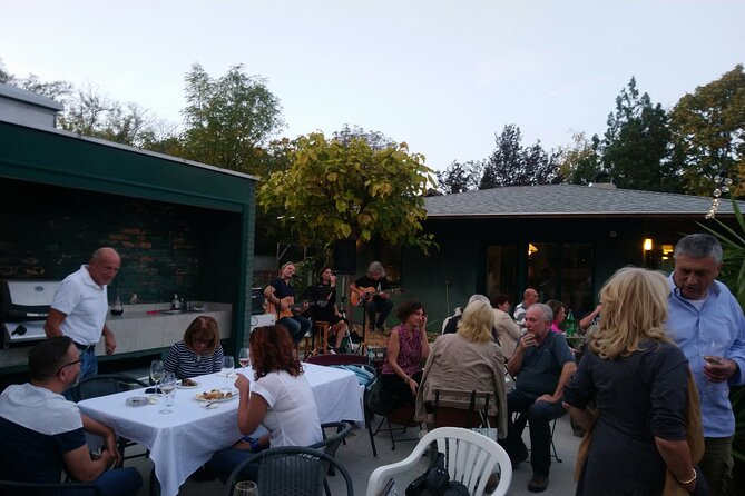 Natural wine tasting with great views - Introducing the Natural Wine Tasting Experience Near Belgrade