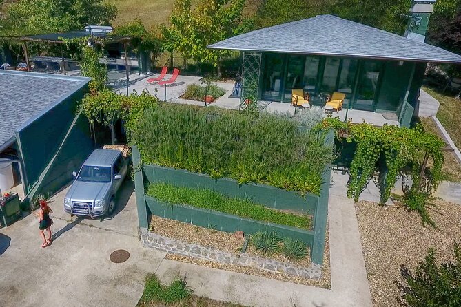 Natural wine tasting with great views - Final Thoughts: Who Would Love This?