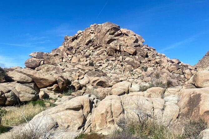 Natural Wonders Walk: Plants, Animals and Rocks of Joshua Tree - Key Points