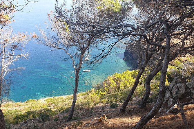 Naturalistic Excursion to Ustica - Convenient Meeting Point and Pickup Options