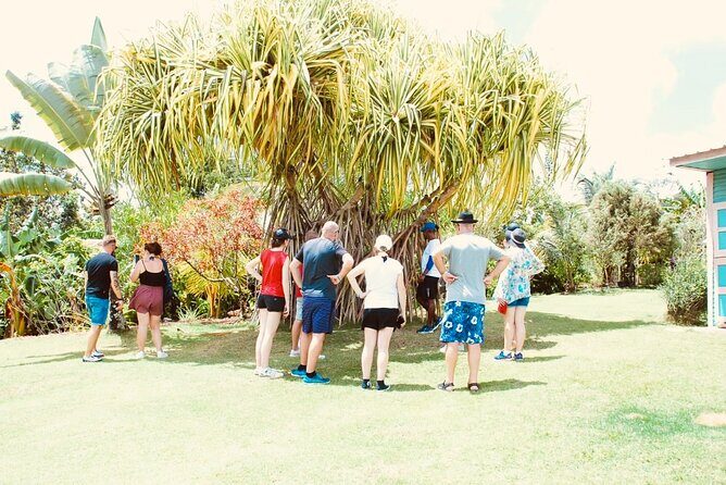 Nature and Adventure Safari Immersion in Dominican Life - Who Will Love This Tour?