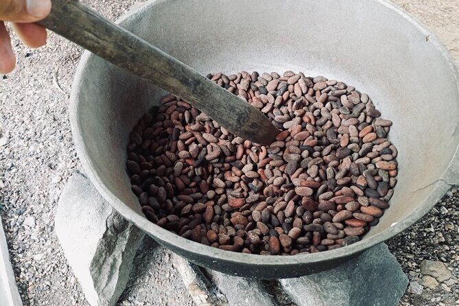 Nature and Adventure Safari Immersion in Dominican Life - The Sum Up