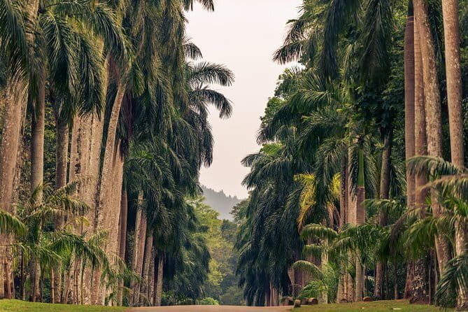 Nature and Fauna (9 Days) - Key Points