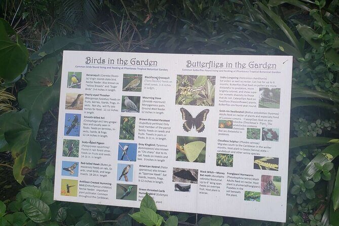 Nature and Sightseeing at Phantasea Tropical Botanical Garden - The Experience and What Youll Take Away