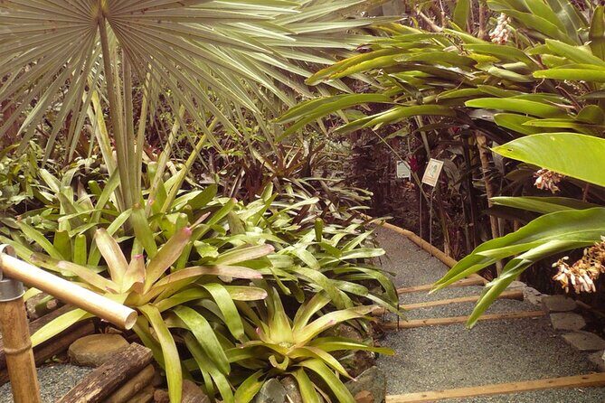 Nature and Sightseeing at Phantasea Tropical Botanical Garden - FAQ