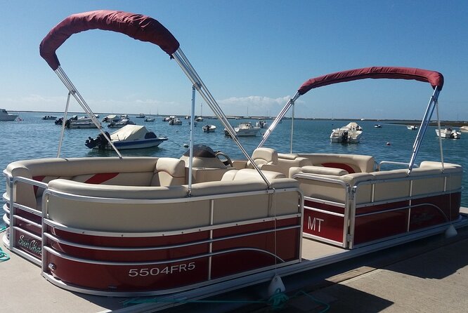 Nature Catamaran Tour From Faro - Traveler Reviews Highlight